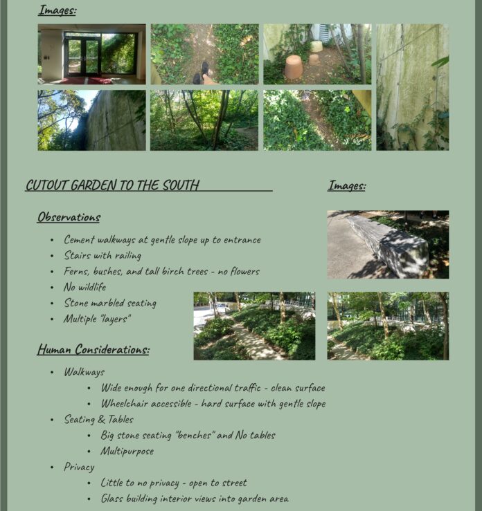 Knowlton Rooftop Garden Observation Notes & Take-Aways | Desis: Senior ...
