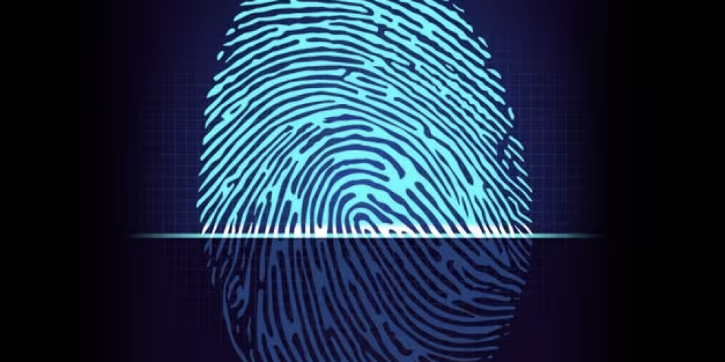 How Do Fingerprint Scanners Work? Optical vs Capacitive | Desis: Senior ...